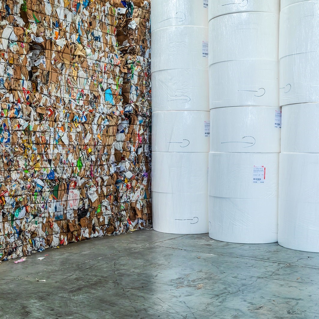 Carta e cartone: tasso di riciclo oltre il 90% nel 2023 ...